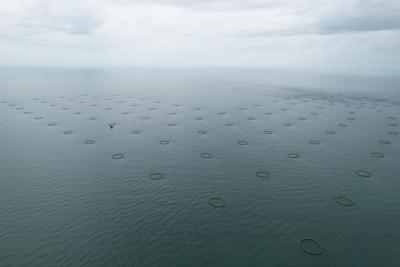 China Inland Water Fish Cages Durable PE Net Cages 6m Diameter for Africa South America for sale