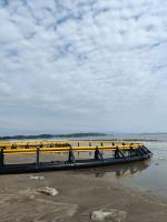 China Inland Water Fish Cages Durable PE Net Cages 6m Diameter for Africa South America for sale