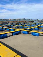 China HDPE Fish Cages for Offshore Lake Reservoir Aquaculture 50m Circumference Custom Sizes for sale