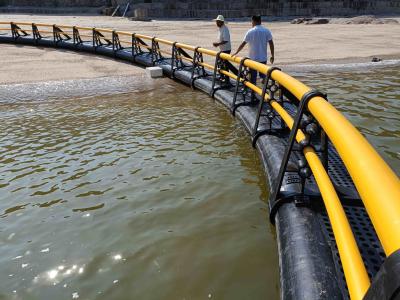 China Custom HDPE Fish Cages for Aquaculture 6m Diameter Offshore Lake Fish Farming Tilapia Cages for sale