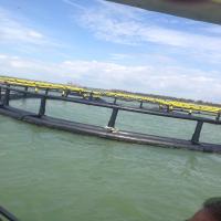 China HDPE Round Flowing Water Fish Cage 80m-300m Circumference for High-Density Aquaculture for sale