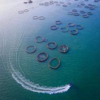 China Lightweight Round Fish Cage | Quick Assembly for Small Water Areas for sale