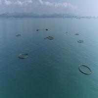 China HDPE Round Fish Cage 80m-200m Circumference Anti-Slip Walkway for Aquaculture for sale