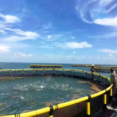 China HDPE Anti-Fouling Round Fish Cage 80m-300m Circumference for Offshore Aquaculture for sale