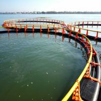 China HDPE Anti-Fouling Round Fish Cage 80m-300m Circumference for Offshore Aquaculture for sale