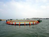 China HDPE Anti-Fouling Round Fish Cage 80m-300m Circumference for Offshore Aquaculture for sale