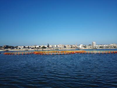 China Split Type HDPE Round Fish Cage 80m-300m Circumference Replaceable Netting for Multi Cycle Farming for sale
