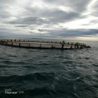 China Split Type HDPE Round Fish Cage 80m-300m Circumference Replaceable Netting for Multi Cycle Farming for sale