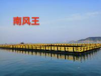 China HDPE Circular Anti-Typhoon Fish Cage 15m Diameter PE100 Reinforced Floating Aquaculture Cage for sale