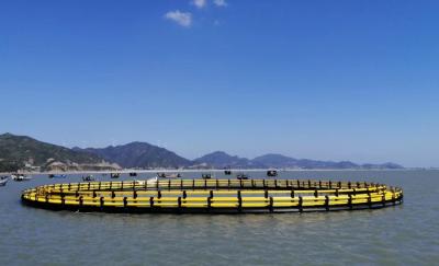 China 15m Diameter PE100 Circular Fish Cage Anti-Wave 6m Wave Height Typhoon Resistant Offshore Aquaculture for sale