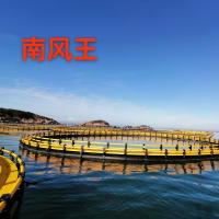 China 15m Diameter PE100 Circular Fish Cage Anti-Wave 6m Wave Height Typhoon Resistant Offshore Aquaculture for sale