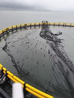 China Circular HDPE Fish Cage Storm Master 15m Anti-Storm Marine Aquaculture for sale