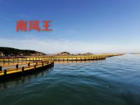 China Circular HDPE Fish Cage Storm Master 15m Anti-Storm Marine Aquaculture for sale