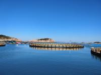 China Circular HDPE Fish Cage Storm Master 15m Anti-Storm Marine Aquaculture for sale