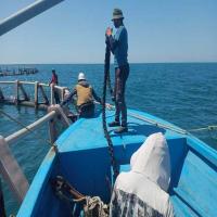 China HDPE Circular Aquaculture Cage 80m-300m Circumference Full Set with Mooring Net Accessories for sale