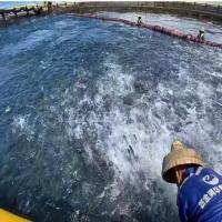 China HDPE Circular Aquaculture Cage 80m-300m Circumference Full Set with Mooring Net Accessories for sale