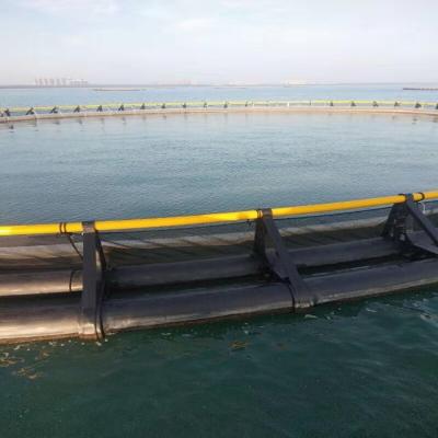 China Dual-Purpose Circular HDPE Fish Cage for Nursery and Grow-out Culture 80m-300m for sale