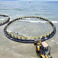 China Dual-Purpose Circular HDPE Fish Cage for Nursery and Grow-out Culture 80m-300m for sale