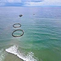 China Dual-Purpose Circular HDPE Fish Cage for Nursery and Grow-out Culture 80m-300m for sale