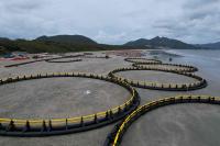 China Storm Resistant HDPE Fish Cage 12m Diameter 250mm Pipe for USA Fish Farming for sale
