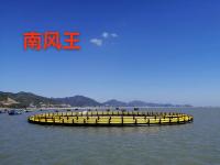 China Sand Resistant HDPE Fish Cage 12m Diameter 37.7m Circumference for Saudi Arabia Fish Farming for sale