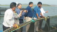China Monsoon Resistant HDPE Fish Cage 12m Diameter 250mm Floating Pipe for India Fish Farming for sale