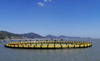 China HDPE Fish Cage 12m Diameter 250mm Float Pipe Wind Wave Resistant Uganda Lake Farming for sale