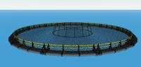 China Small Medium HDPE Fish Cages 12m Diameter Anti Wave UV Resistant for Zambia Lake Fish Farming for sale