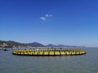 China HDPE Fish Cage 12m Diameter 250mm Pipe Flood Wave Resistant for Nigeria Fish Farming for sale