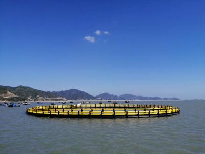 China HDPE Fish Cage 12m Diameter 250mm Pipe Flood Wave Resistant for Nigeria Fish Farming for sale