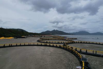 China HDPE Fish Cage 12m Diameter Cold Resistant Windproof for Romania Aquaculture for sale