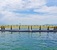 China HDPE Fish Cage 12m Diameter Cold Resistant Windproof for Romania Aquaculture for sale