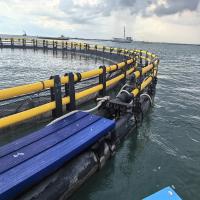 China HDPE Anti-Typhoon Deep Sea Fish Cage Floating Aquaculture Cage 80m-300m for sale