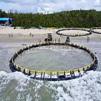 China HDPE Round Floating Fish Cage 80m-300m Circumference for Tilapia Pangasius Lake Aquaculture for sale
