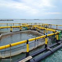China Modular Square HDPE Floating Fish Cage Offshore Nursery Cage 4m x 4m for High Density Pangasius Farming for sale