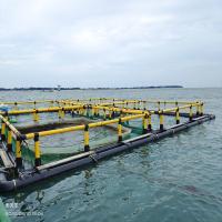 China Modular Square HDPE Floating Fish Cage Offshore Nursery Cage 4m x 4m for High Density Pangasius Farming for sale