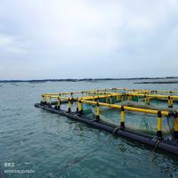 China Modular Square HDPE Floating Fish Cage Offshore Nursery Cage 4m x 4m for High Density Pangasius Farming for sale
