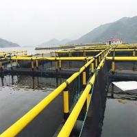 China Economical HDPE Floating Fish Cage 80m-300m for Fry Rearing and Temporary Storage for sale