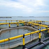 China Economical HDPE Floating Fish Cage 80m-300m for Fry Rearing and Temporary Storage for sale