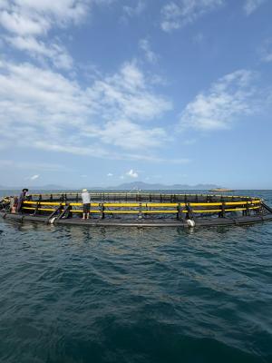 China Dia.15m Reinforced Anti-wind Circular Fish Cage HDPE PE100 250mm Float Pipe 6m Wave Resistant for sale