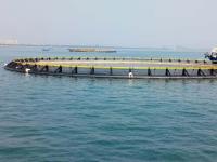 China Heavy HDPE Anti-Wind Circular Fish Cage Dia 15m PE100 UV Resistant Offshore Aquaculture for sale