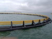 China Heavy HDPE Anti-Wind Circular Fish Cage Dia 15m PE100 UV Resistant Offshore Aquaculture for sale
