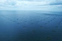 China Heavy HDPE Anti-Wind Circular Fish Cage Dia 15m PE100 UV Resistant Offshore Aquaculture for sale