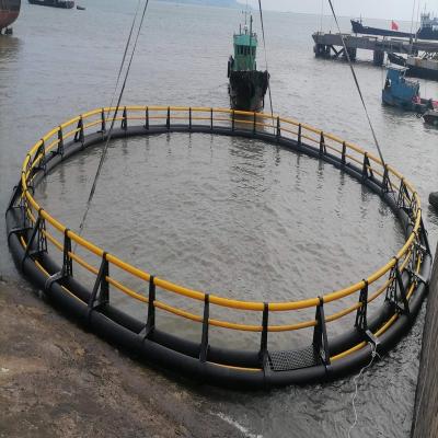 China HDPE Circular Floating Fish Cage 80m-300m Circumference Reinforced Complete Cage for Deep Water Adult Fish Culture for sale