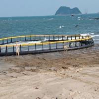 China HDPE Circular Floating Fish Cage 80m-300m Circumference Reinforced Complete Cage for Deep Water Adult Fish Culture for sale