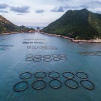 China HDPE Circular Floating Fish Cage 80m-300m Circumference Reinforced Complete Cage for Deep Water Adult Fish Culture for sale