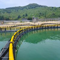 China HDPE Circular Floating Fish Cage 80m-300m Circumference Reinforced Complete Cage for Deep Water Adult Fish Culture for sale
