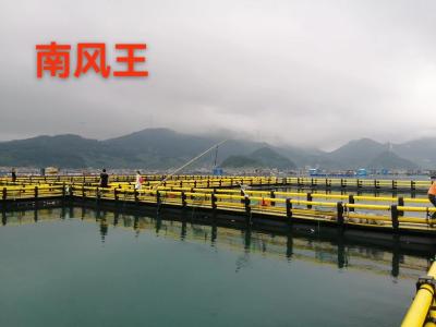 China Heavy Duty PE100 Square Fish Cage 200mm Main Float Pipe 6m Wave Resistant Aquaculture for sale