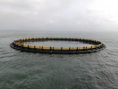 China Reinforced Anti-Wave Square Fish Cage 200mm HDPE PE100 182sqm for Lake Aquaculture for sale
