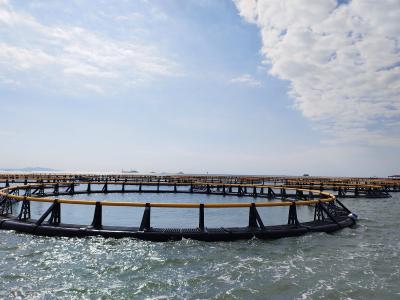China HDPE PE100 Square Floating Fish Cage 200mm Pipe 6m Wave Resistant Aquaculture Kit for sale